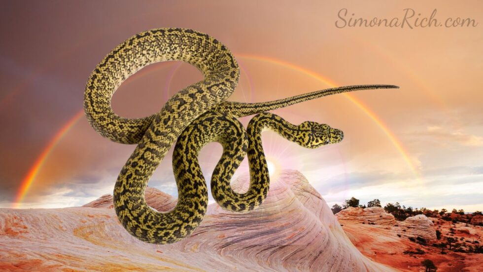 What is Kundalini? Doctors and Scientists Explain - Simona Rich